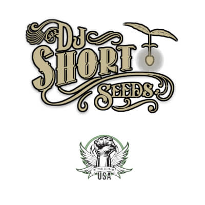 Blueberry Bubblicious by DJ Short and Blue Star Seed Co