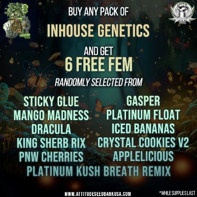 The Attitude Seedbank - In House Genetics Seeds Randomly Selected 6 ...