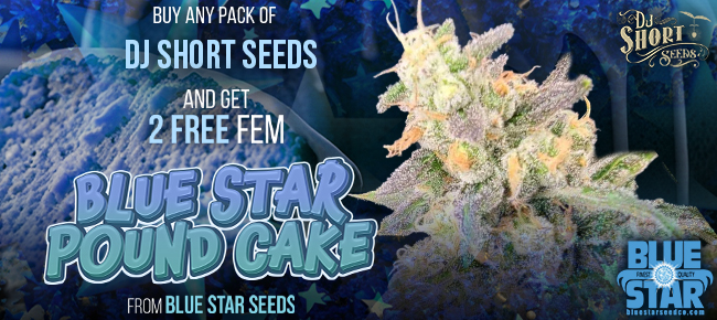 The Attitude Seedbank USA - Promotions, Deals and Discounts