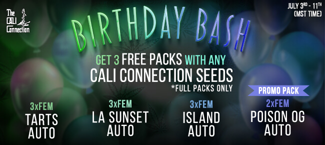 The Attitude Seedbank - Cali Connection Seeds SFV OG Kush The Attitude Seedbank - Cali Connection Seeds SFV OG Kush