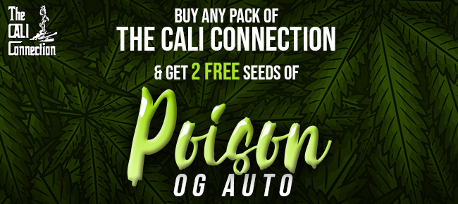 The Attitude Seedbank USA - Promotions, Deals and Discounts