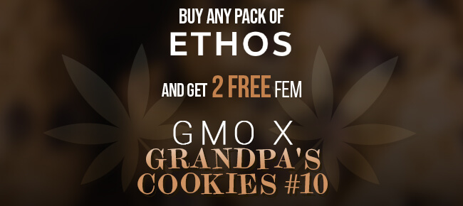 The Attitude Seedbank - Ethos Genetics Mookie B R1