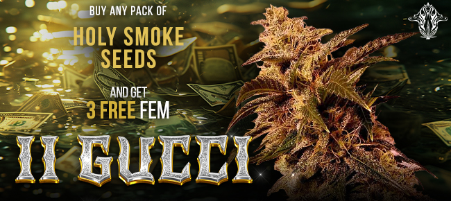 The Attitude Seedbank USA - Promotions, Deals and Discounts