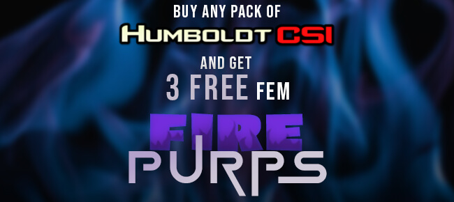 The Attitude Seedbank - Humboldt CSI Seeds Humboldt Uppercut