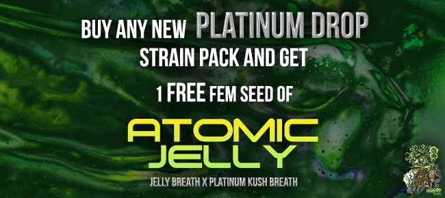 The Attitude Seedbank - In House Genetics Seeds Atomic Jelly