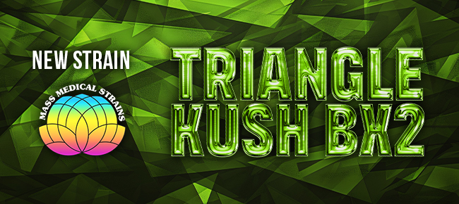 The Attitude Seedbank USA - Promotions, Deals and Discounts