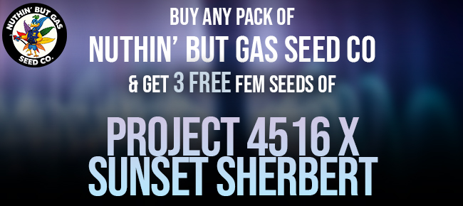The Attitude Seedbank USA - Promotions, Deals and Discounts