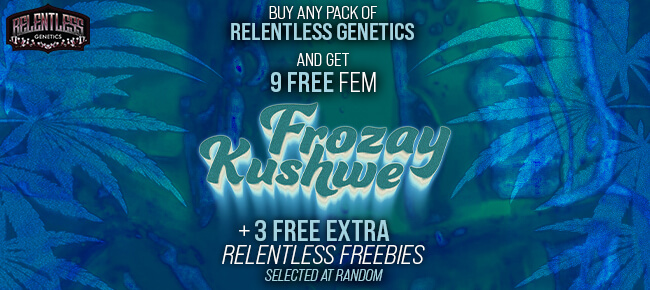 The Attitude Seedbank - Relentless Genetics Seeds Papaya Peels