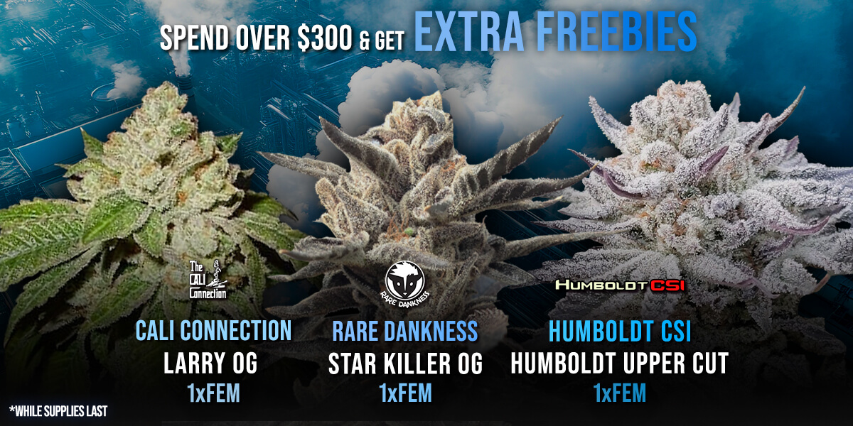 Attitude Seedbank USA | World's Largest Cannabis Seed Super Store