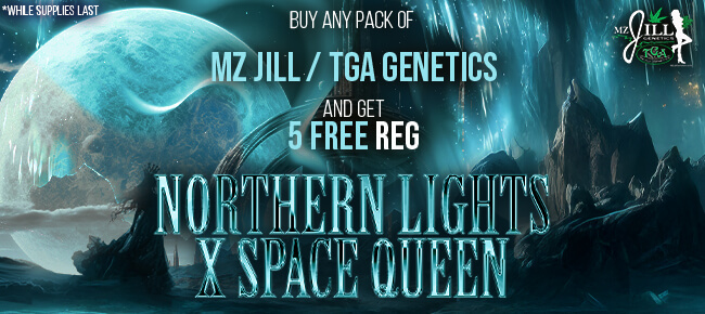 The Attitude Seedbank USA - Promotions, Deals and Discounts